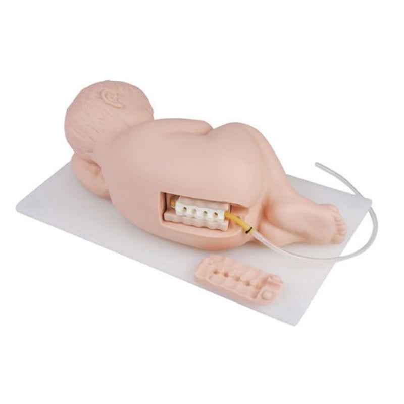Buy Neonatal Lumbar Puncture Model at Best Price Online in India from ...