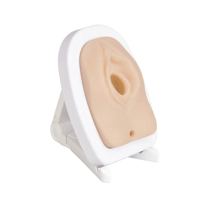 Buy Perineum Cutting and Suturing Training Simulator at Best Price ...