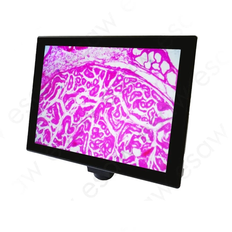 Buy ScopePad Microscope Tablet – Digital Imaging & Analysis Solution for Labs at best prices ...